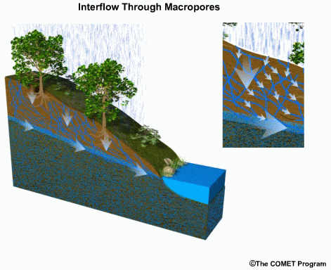 Runoff Processes - Section Two: Paths to Runoff